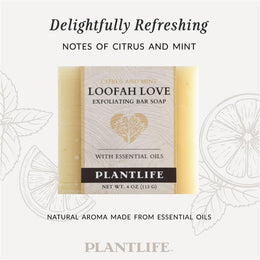 Loofah Love Bar Soap – Citrus Mint Exfoliating Cleanser by Plantlife