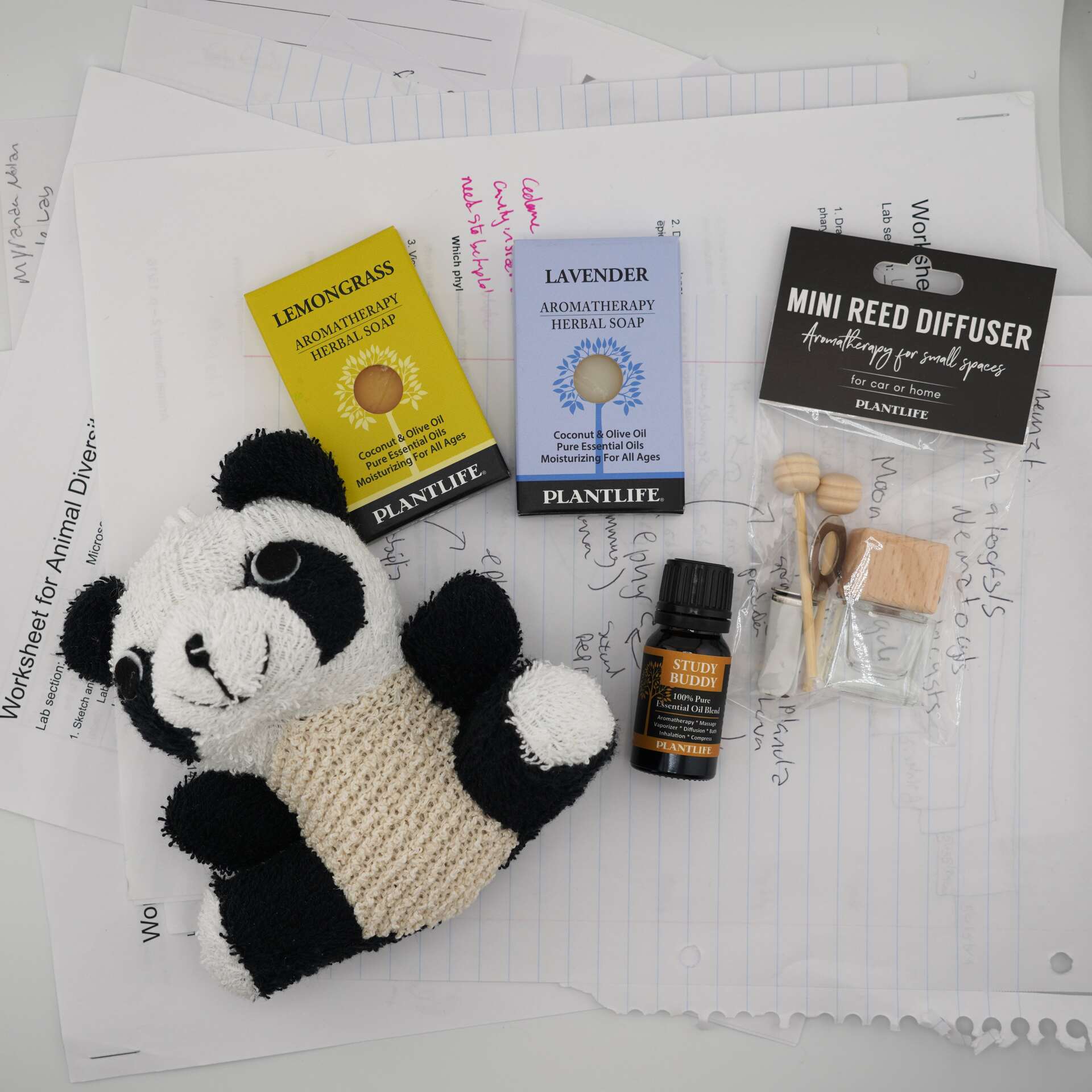 Back to School Set – Essentials for a Fresh Start by Plantlife