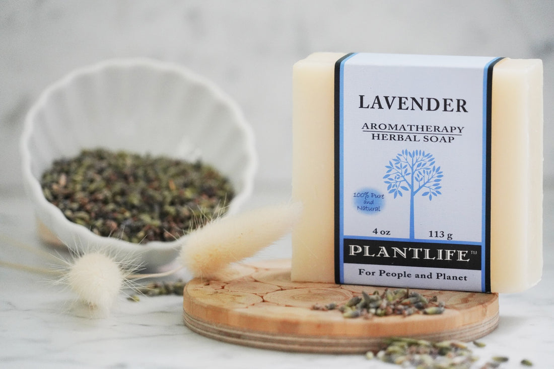 Lavender Bar Soap | Plantlife | Natural Soaps