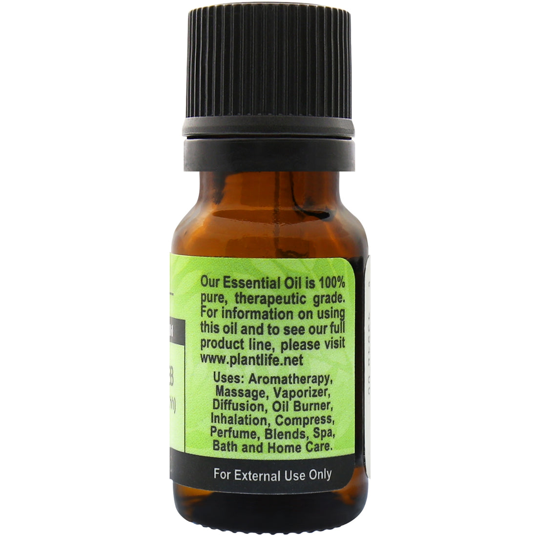 Parsley Herb Essential Oil - 100% Pure Essential Oils | Plantlife