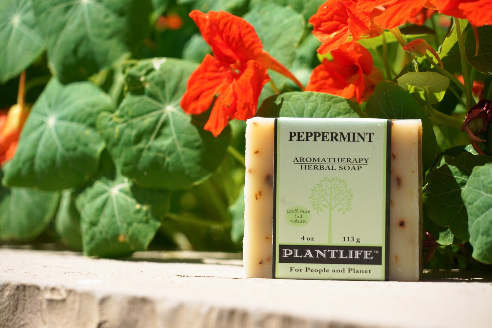 Peppermint Bar Soap | Natural Peppermint Soap | Plantlife